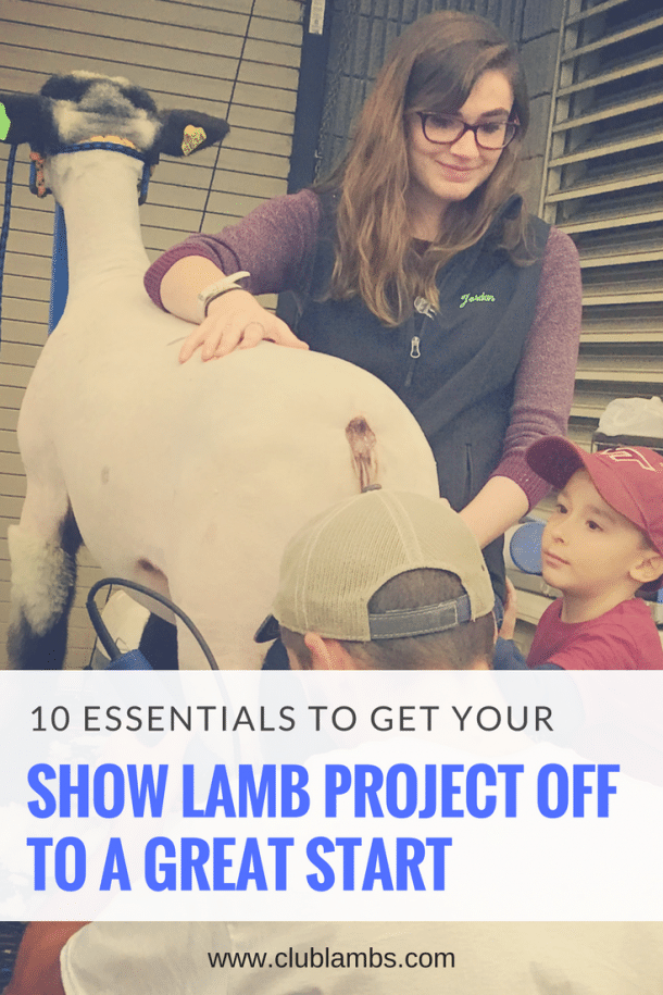 10 Essentials To Get Your Show Lamb Project Off To A Great Start